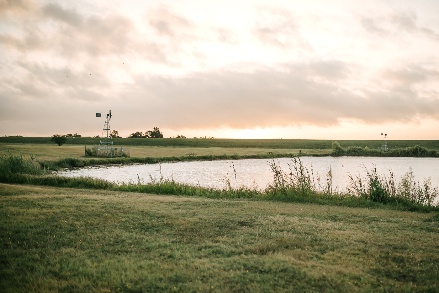 Choosing a Location for Family Photos in Austin, Texas - ranaewolff.com